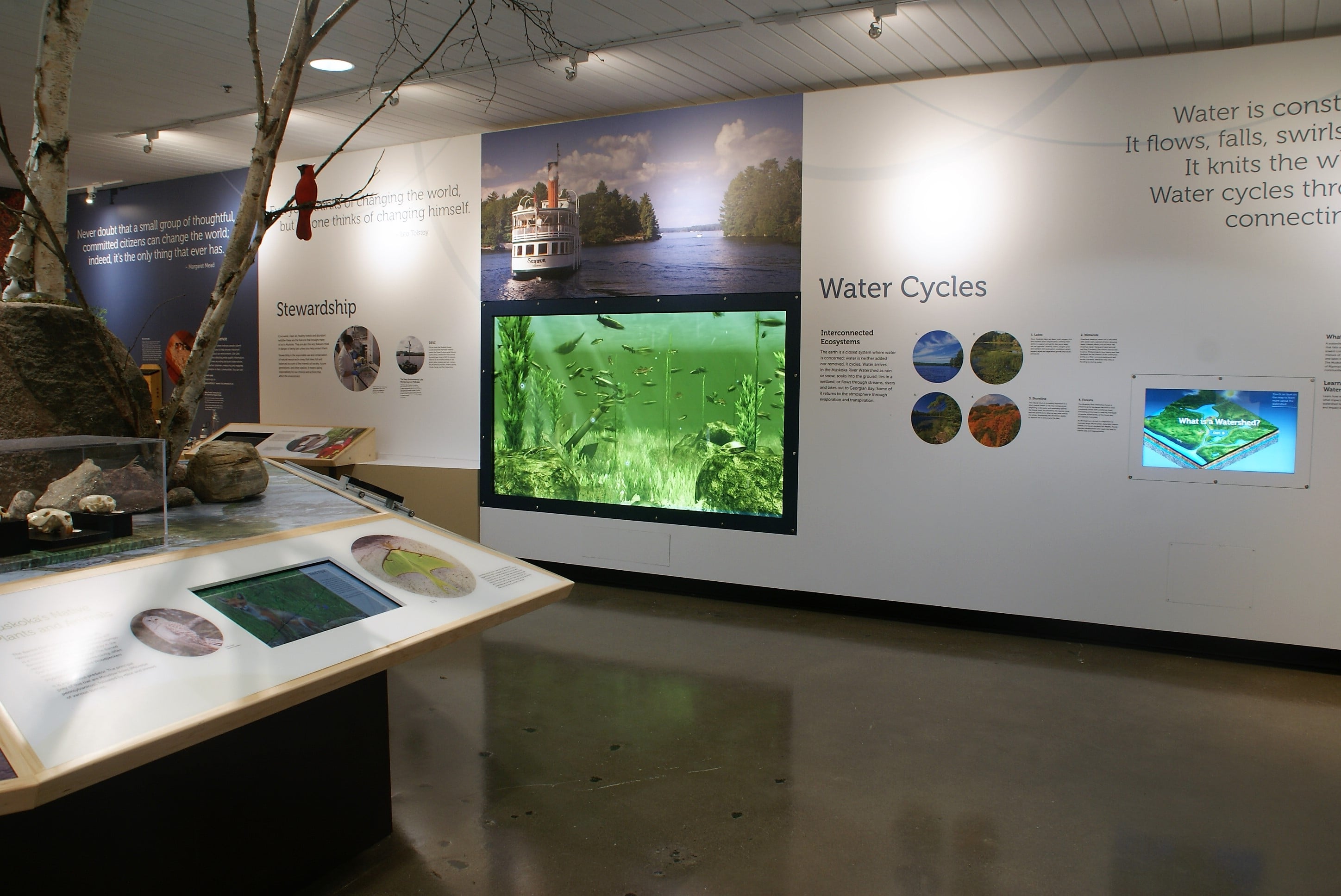 MUSKOKA DISCOVERY CENTRE NEW EXHIBIT - SIMBIOZ